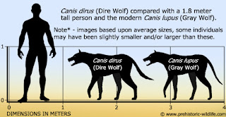 Forgotten Creatures: The Dire Wolf. | Starships & Steel: Forgotten ...