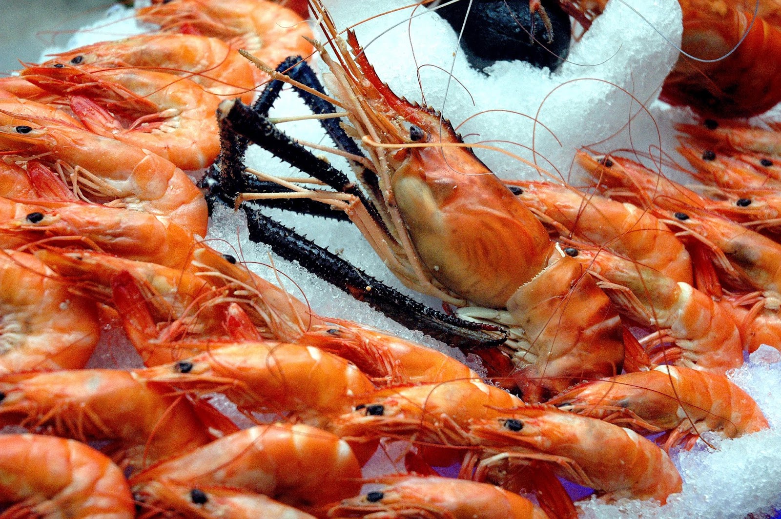 DUDE FOR FOOD: #aNIUexperience: NIU by Vikings Opens at The Podium