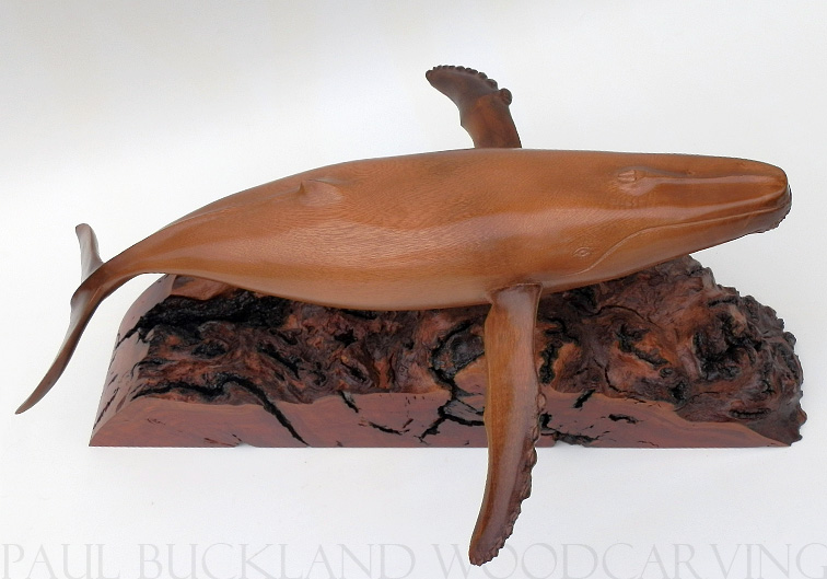 Paul Buckland Woodcarving: Humpback Whale 1
