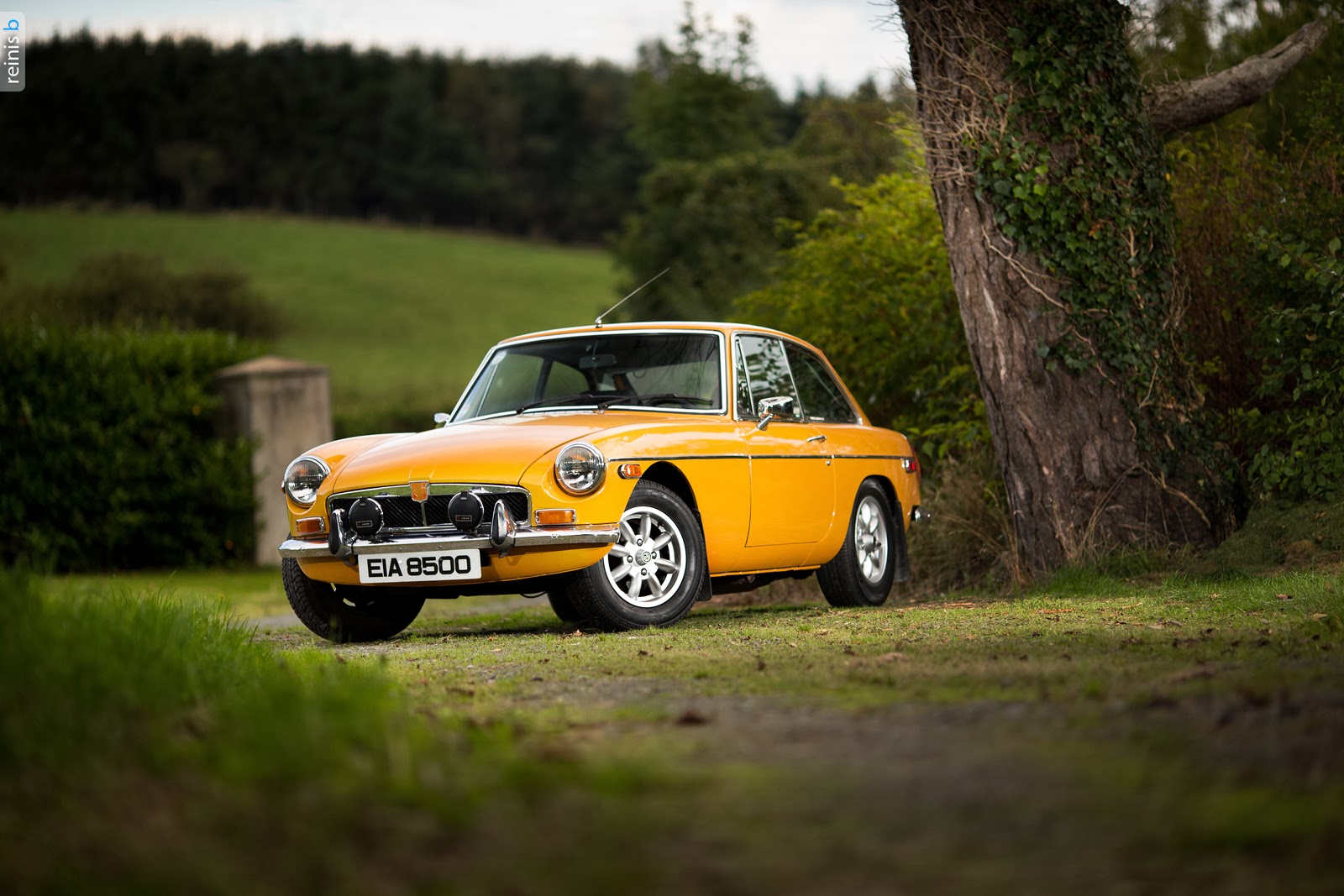 Reinis Babrovskis Photography: MG MGB GT