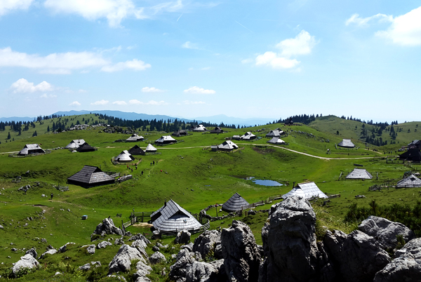 HIKING | VELIKA PLANINA - Vermillion redd