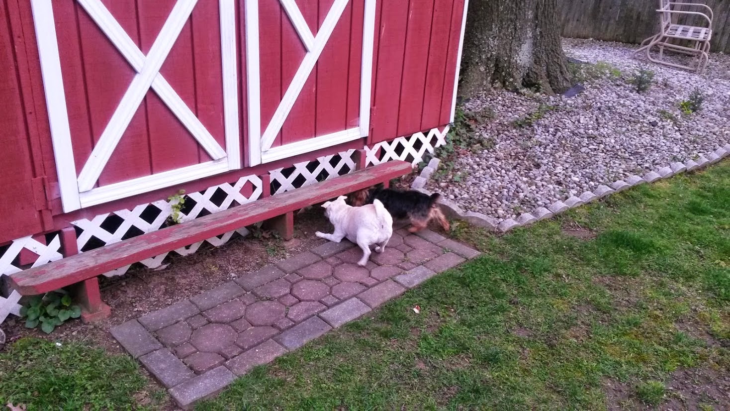 Gilbert Curiosities: Steampunk Granny chats about Godzilla, Cemeteries ...