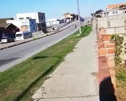 PORT ELIZABETH - WATCH AS CAR SPINS OUT OF CONTROL & HITS BAKKIE IN ...