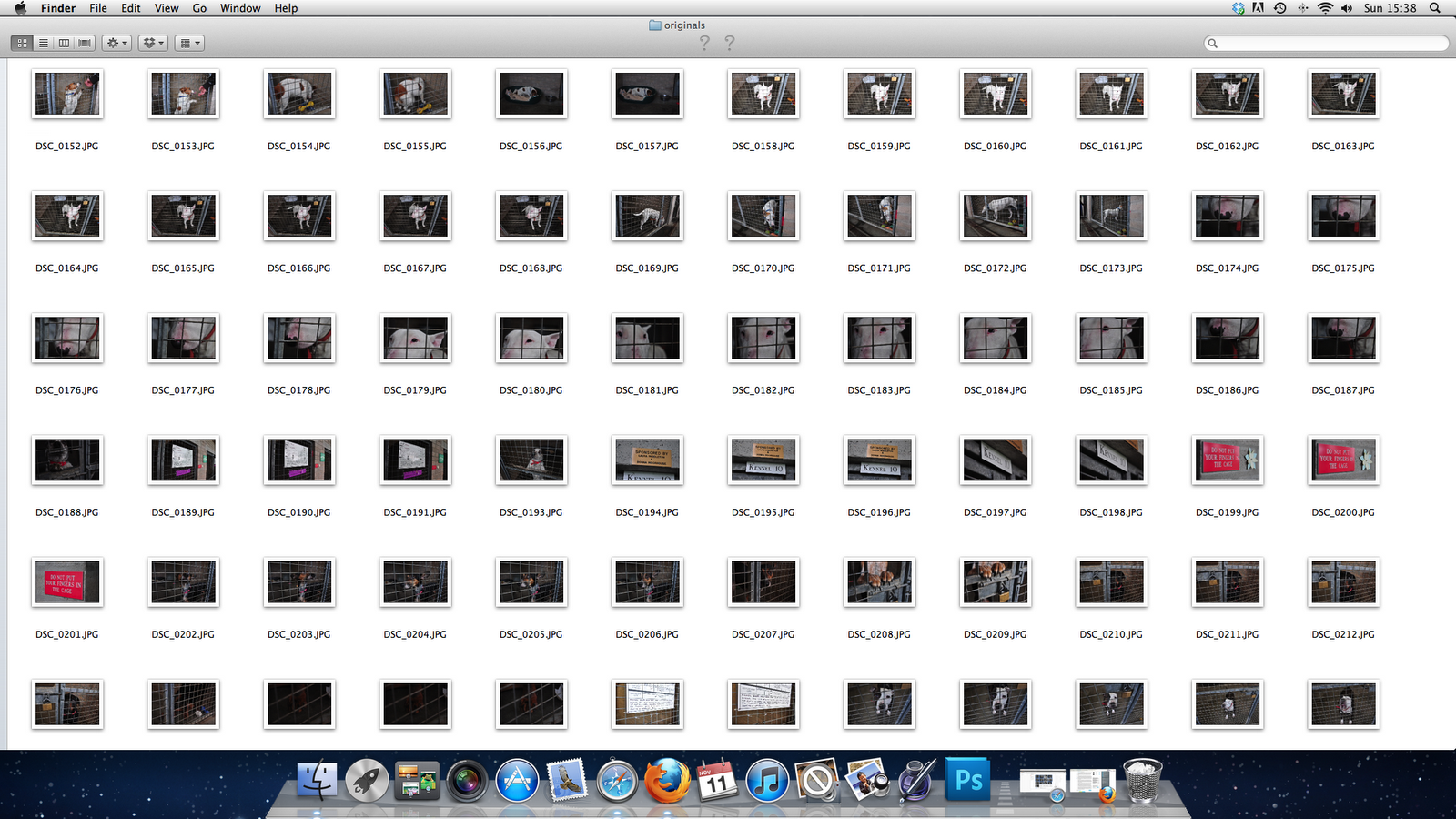 Professional Frameworks 2 - Editorial Photography Module: contact sheets (screen captures of all ...