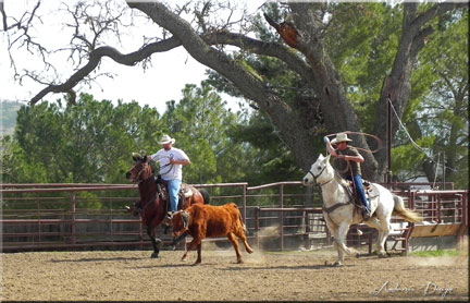 Harrah Ranch: About Us