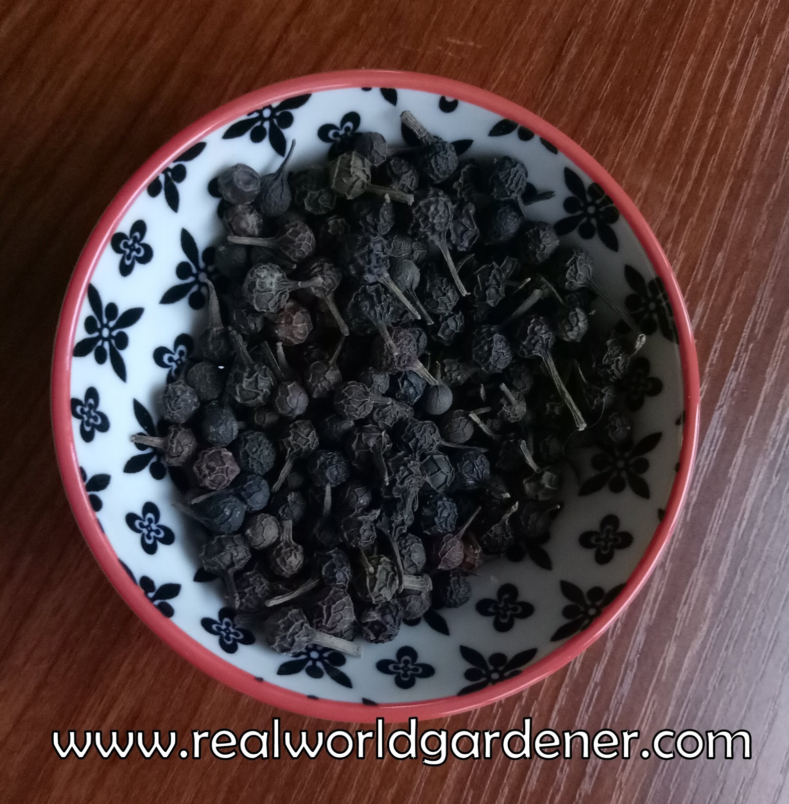Real World Gardener: Black and Bloom Salvias with Beans That are Broad