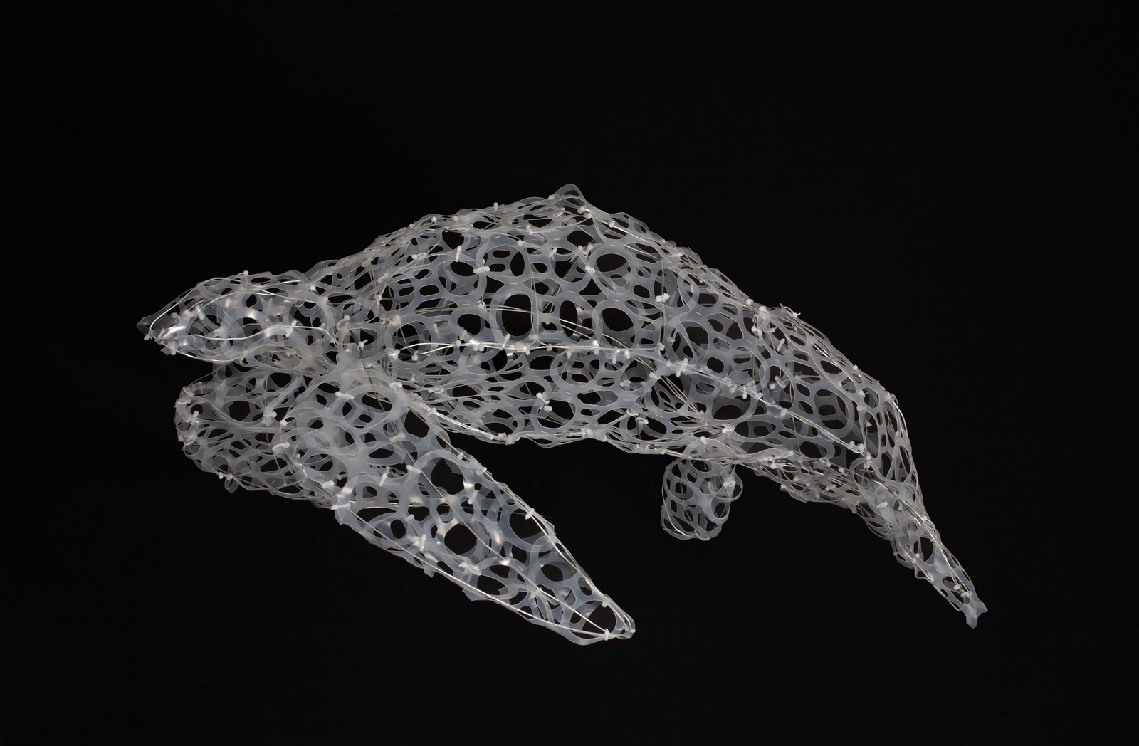 pointgreen BLOG Rossa Cole: Green Sea Turtle of six pack rings...