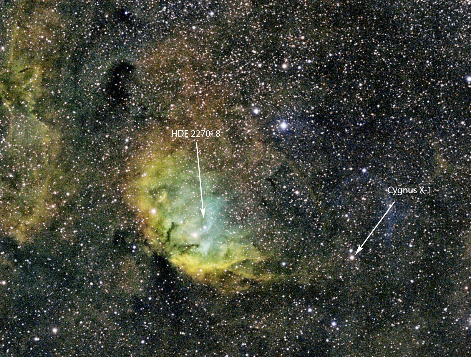 Astrophotography Diaries of a Rookie: The Tulip Nebula (Sharpless 101)