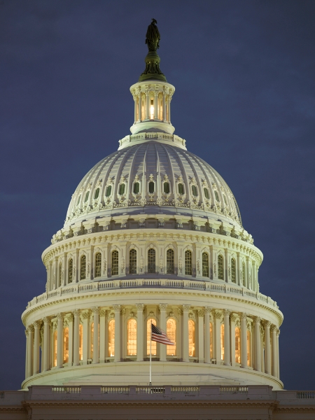 Washington DC Virtual Field Trip