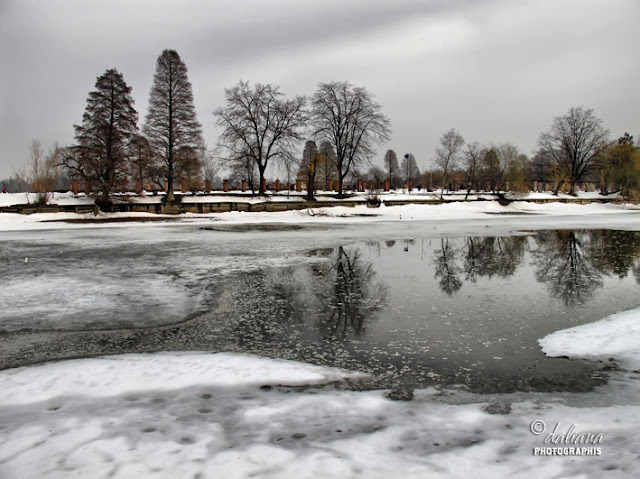 Photographis: Winter in Romania -White Thoughts