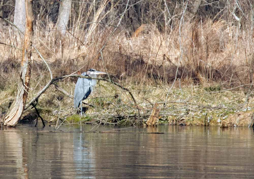 My Daily Photo Walk: Day 143 - Gambrill Mill at Monocacy