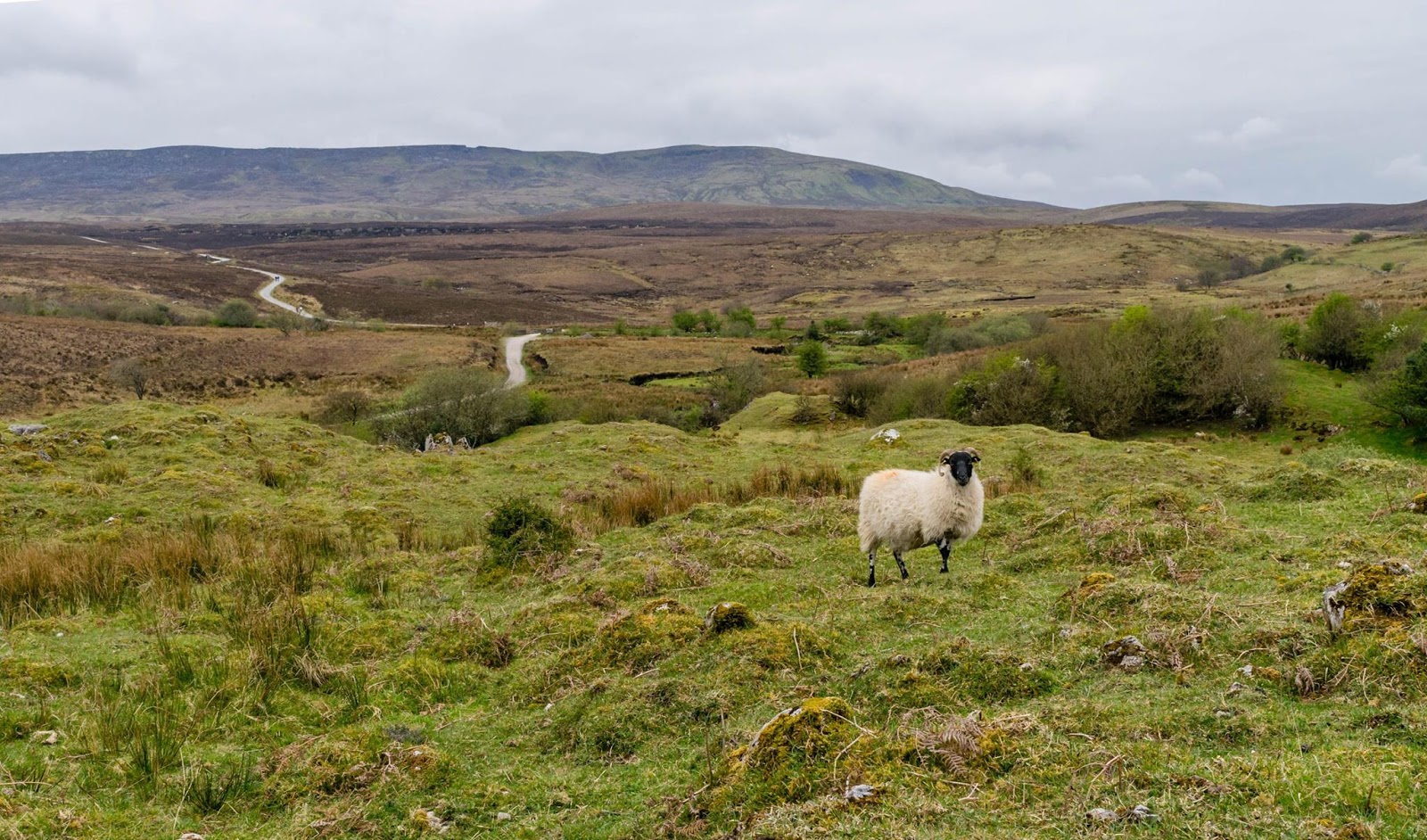 Cuilcagh Mountain Park