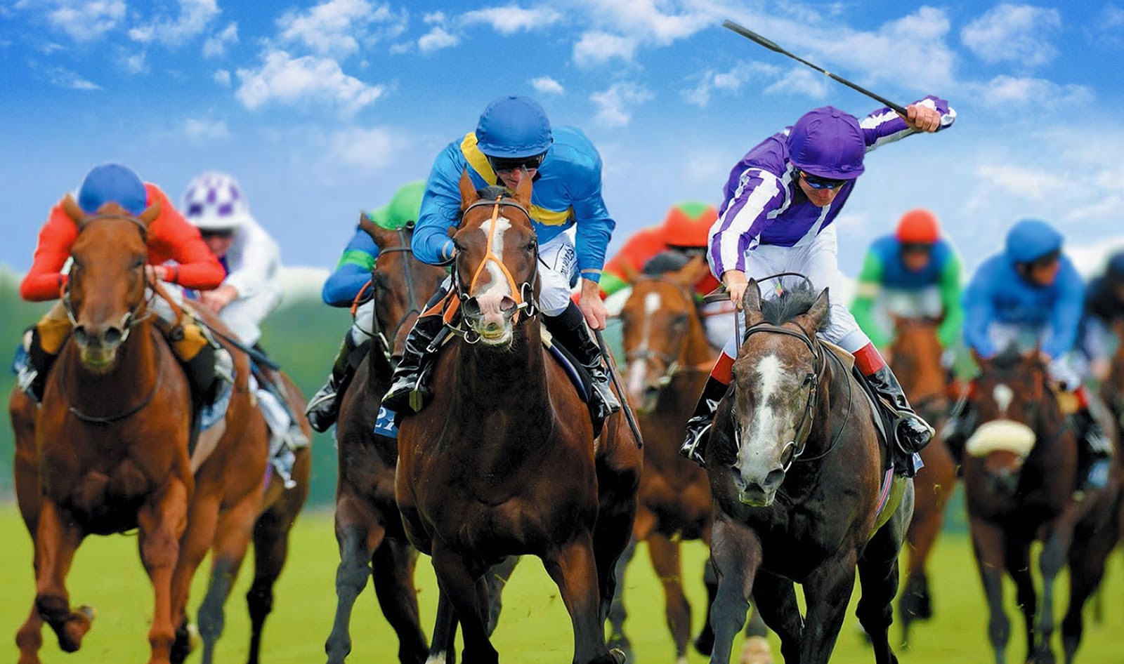 MAP: THE MELBOURNE CUP