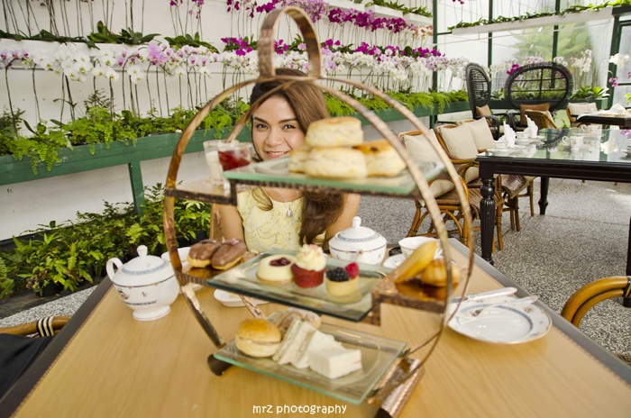 Chocolate Cats: Afternoon Tea at the Orchid Conservatory, Majestic Hotel KL