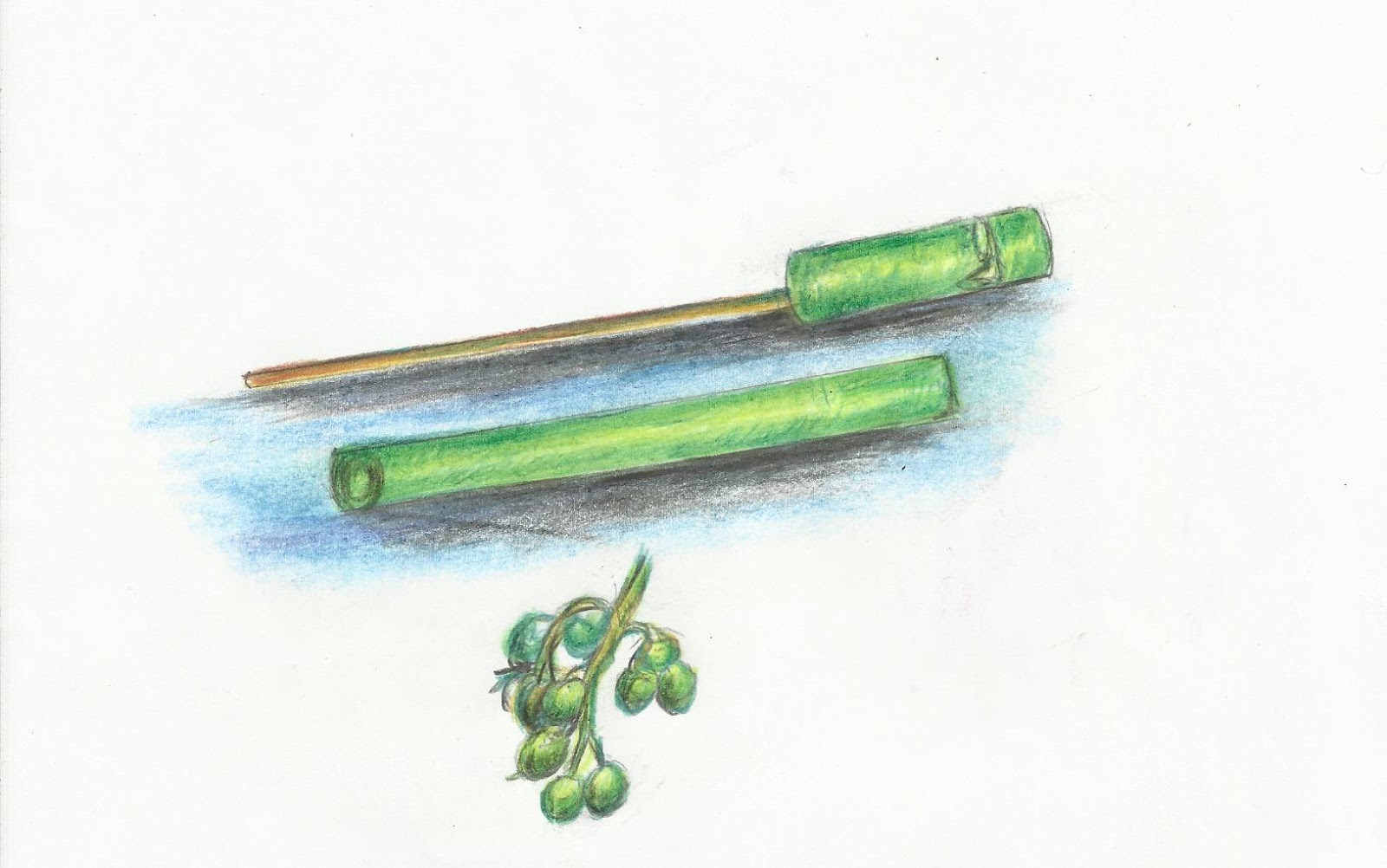 theperanakanconnection: August 2013