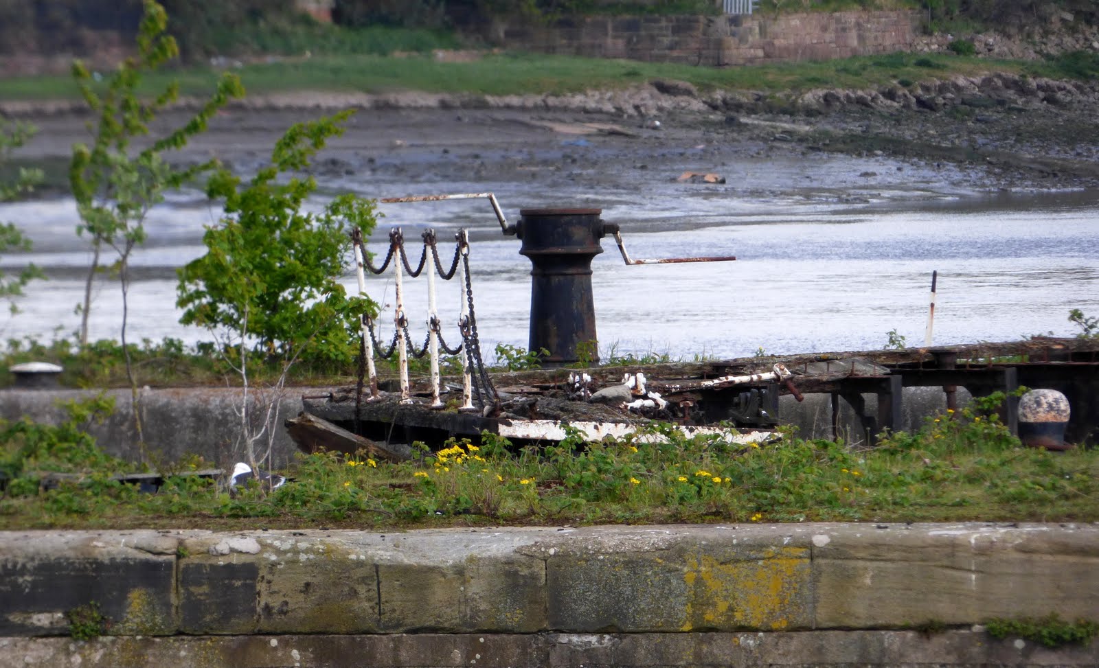 FreeSpirit : Finding the old line Runcorn locks