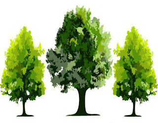 DINCE'S CHRONICLES • THE TALE OF THE THREE TREES