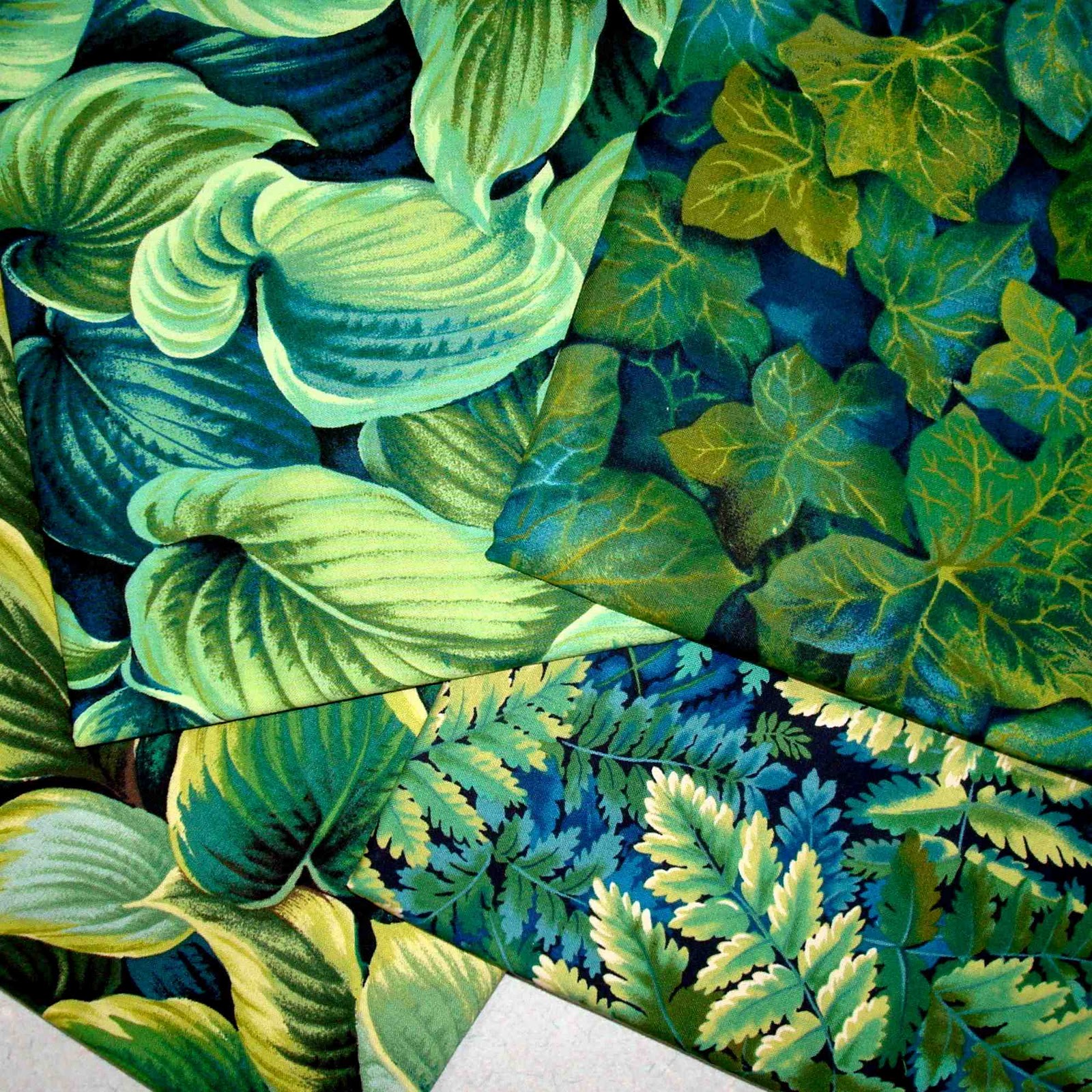 SpringLeaf Studios: SpringLeaf; the meaning of a name