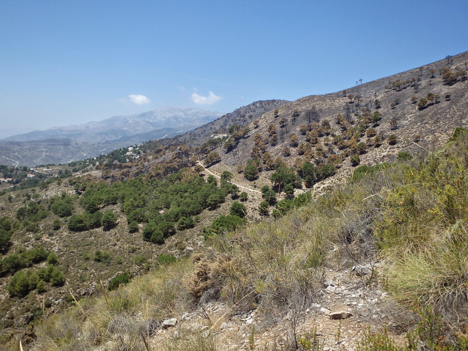 Legión Fénix: Competa - Puerto del Collado - Cerro de la Juliana