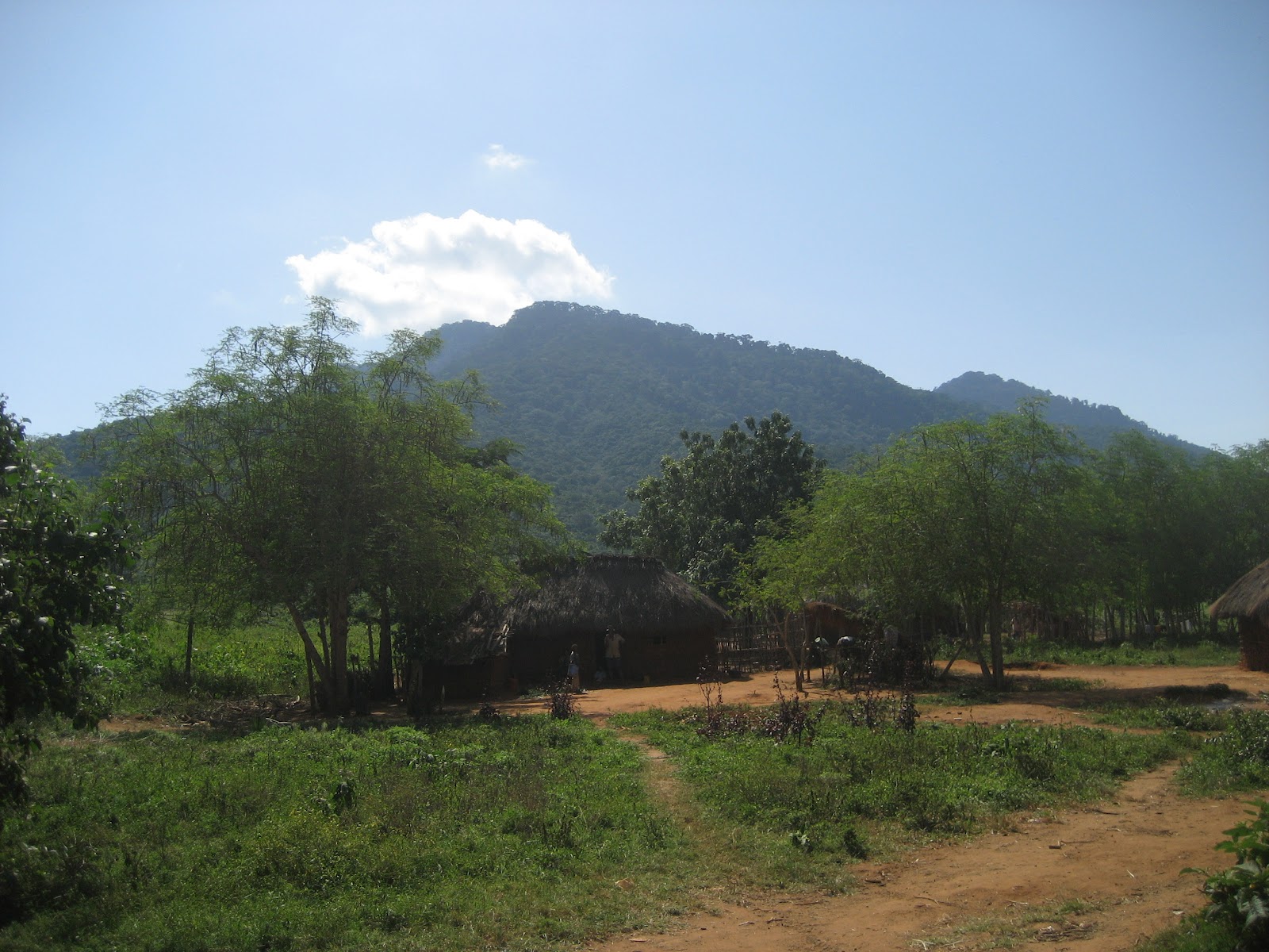 Battlefield News: The Advance down the Pangani River Valley Tanzania