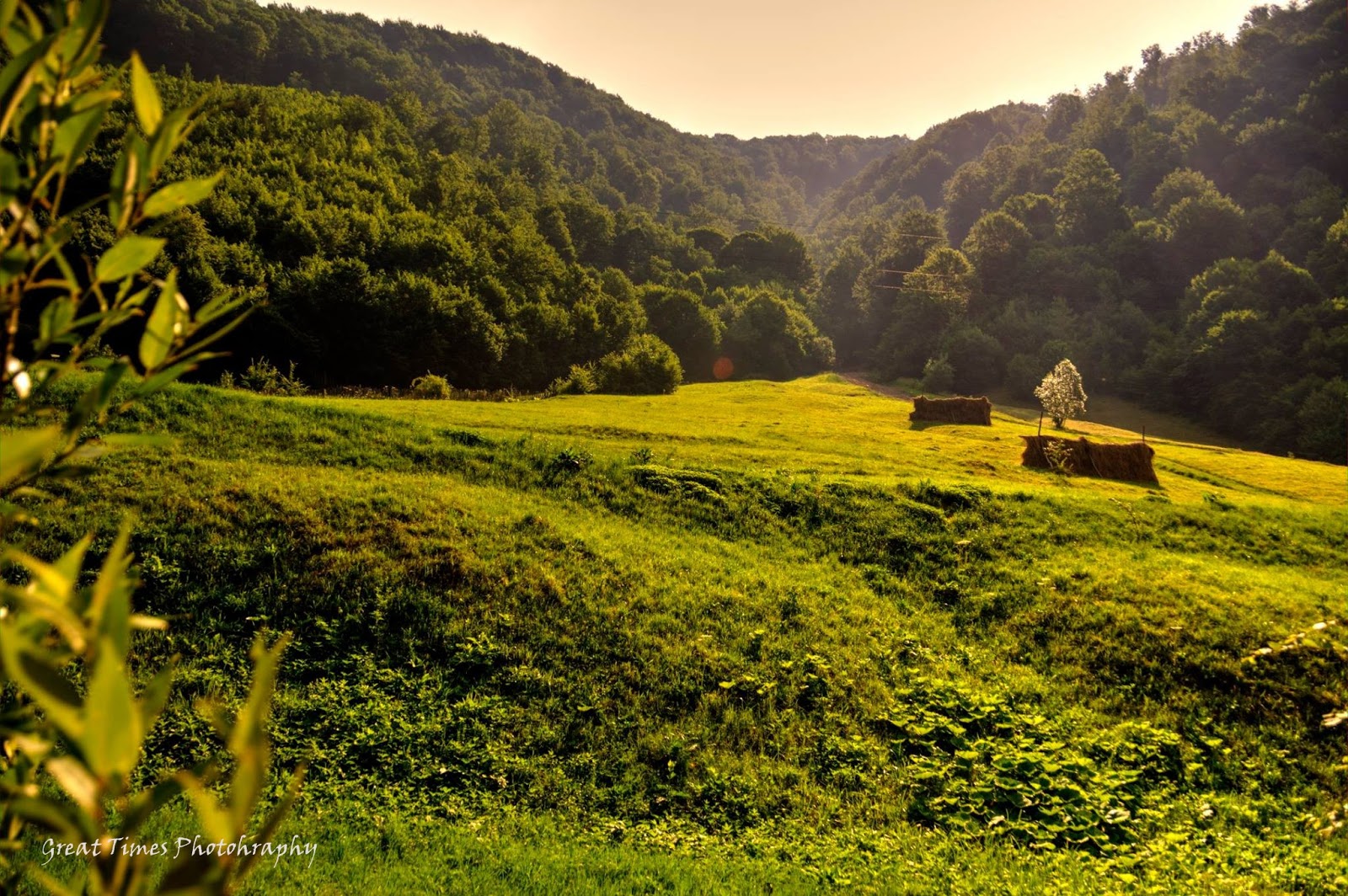 Mocanita - Valea Vaserului, Viseu, Maramures | Great Times Photography