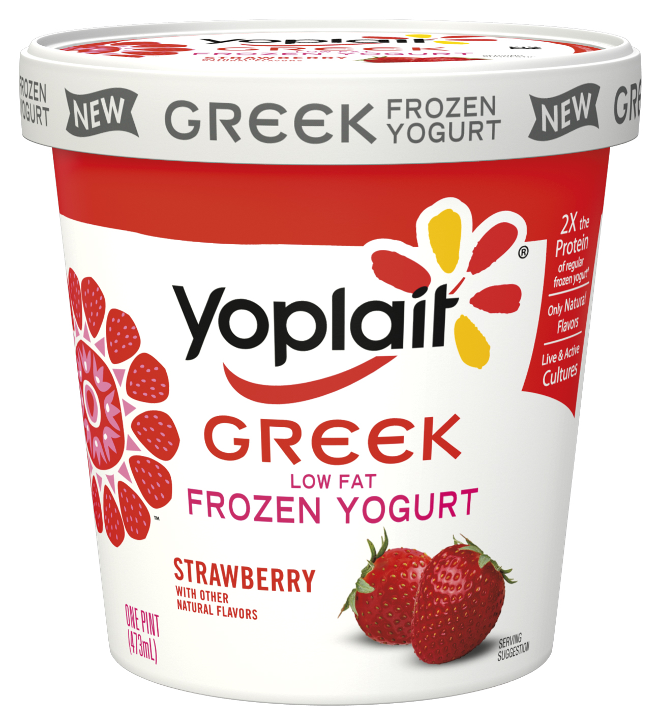 STAY AT HOME MOM: Yoplait Original and Greek Frozen Yogurt Giveaway