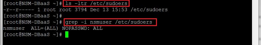 Netsoftmate Technical Blog Step 10 Oracle Dbcs Create Additional Os Users On Oracle Cloud