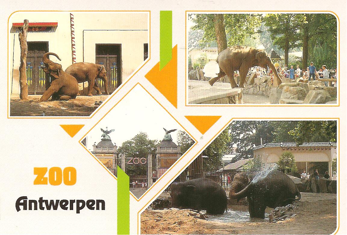 MY POSTCARD-PAGE: BELGIUM ~Antwerp Zoo~