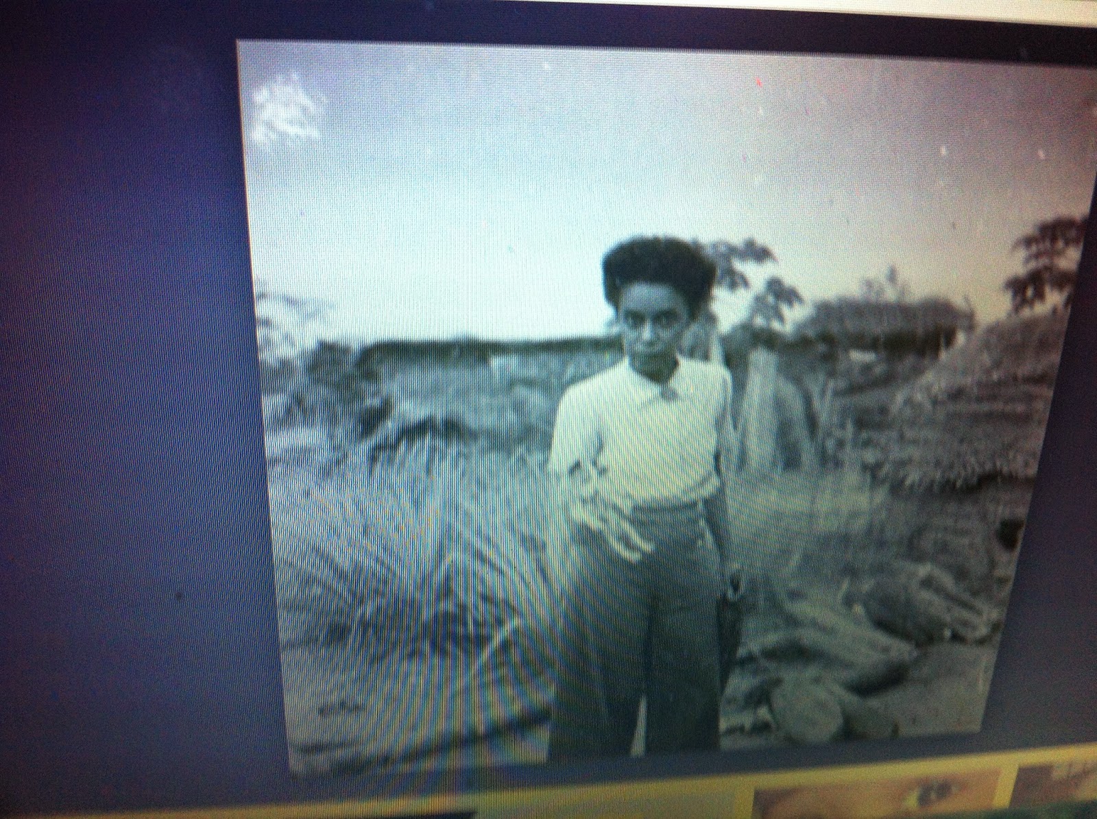 THE BLACK SOCIAL HISTORY:: BLACK SOCIAL HISTORY : AFRO-HAITIAN " JDA ...