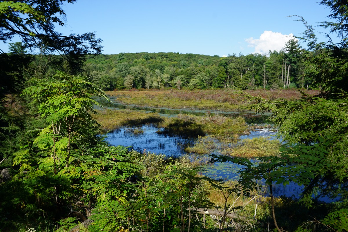 Harriman Hiker: Harriman State Park and Beyond: Pine Swamp Mine Loop
