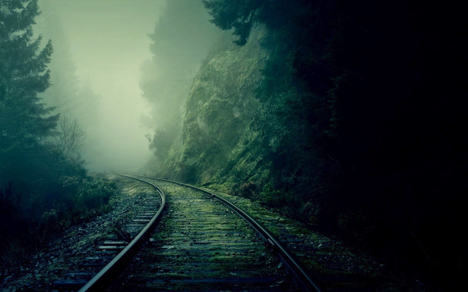 August 2014 | High Definition Wallpapers