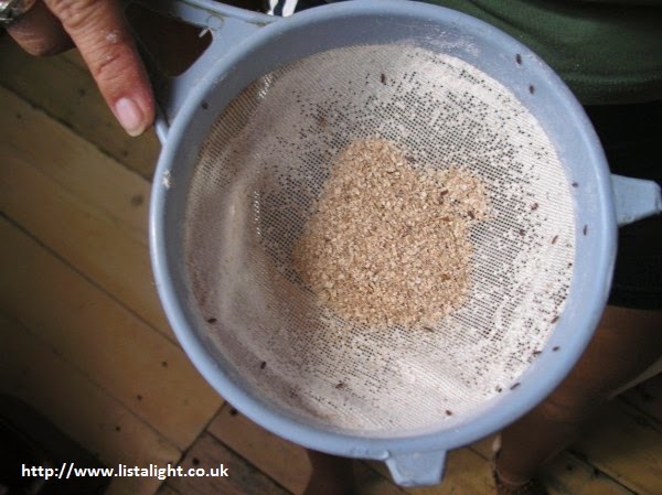 Bugs in your flour or cereal? Flour beetle and how to prevent it ~ Art ...