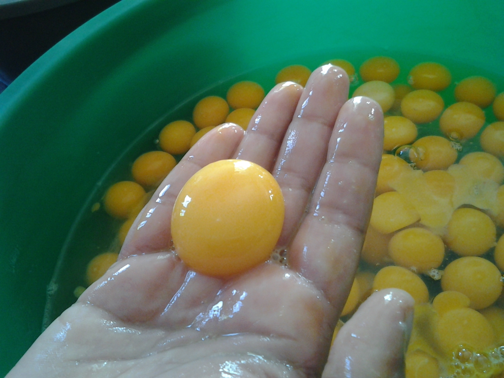 Royal Pudding: Jala Mas