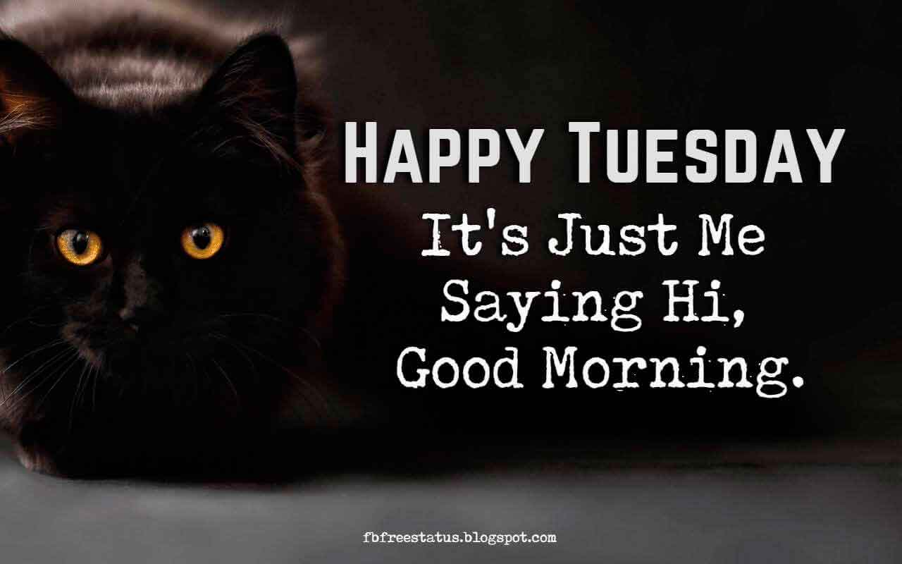Happy & Funny Tuesday Quotes With Images, Pictures