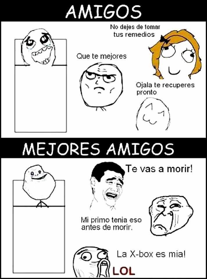 Nuevos Memes: Los mejores amigos