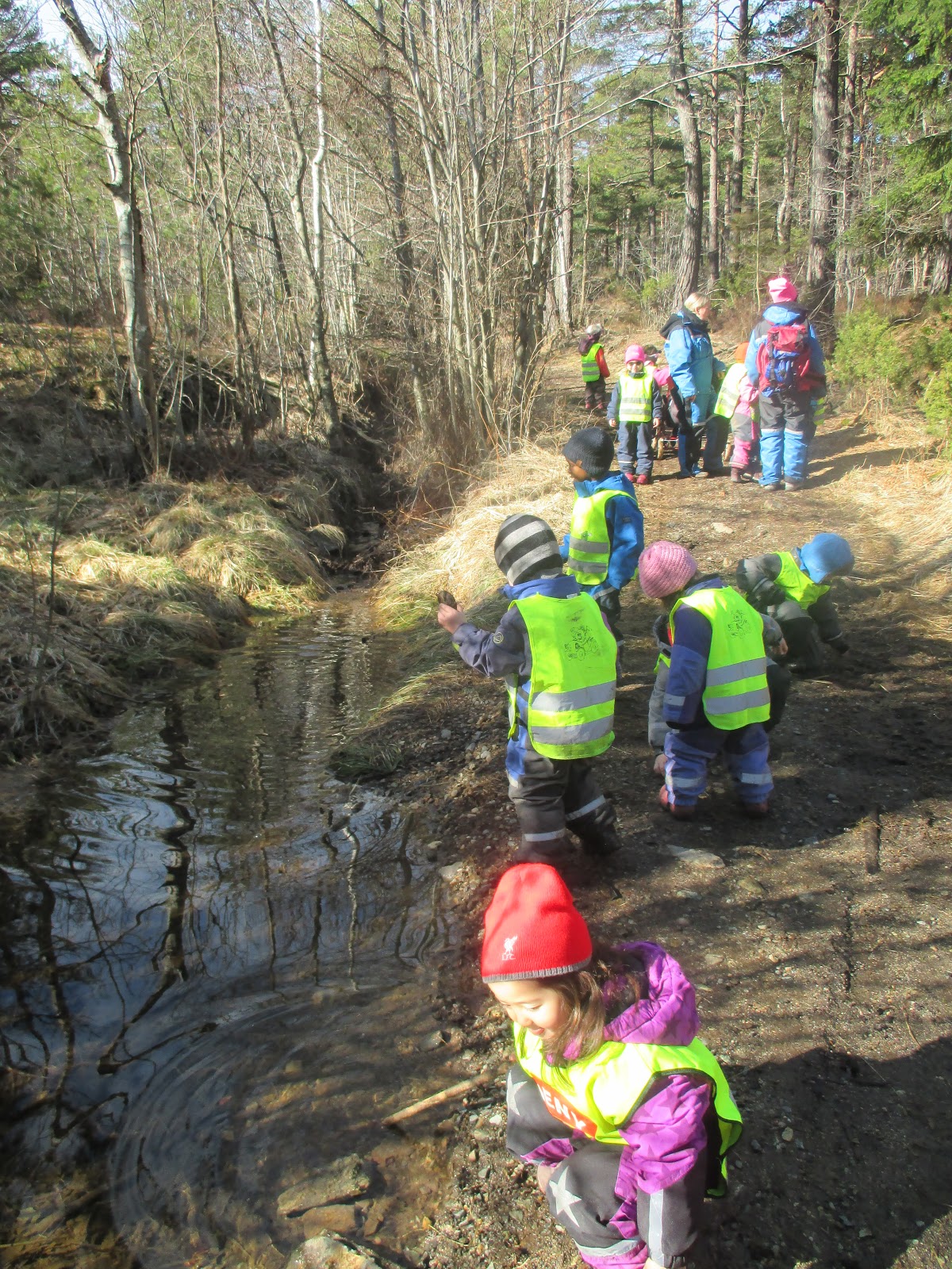 Grasmyr naturbarnehage: PLIPP OG PLOPP!