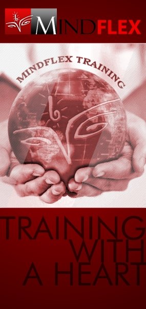 Mindflex- The Learning Orgainzation: Photos