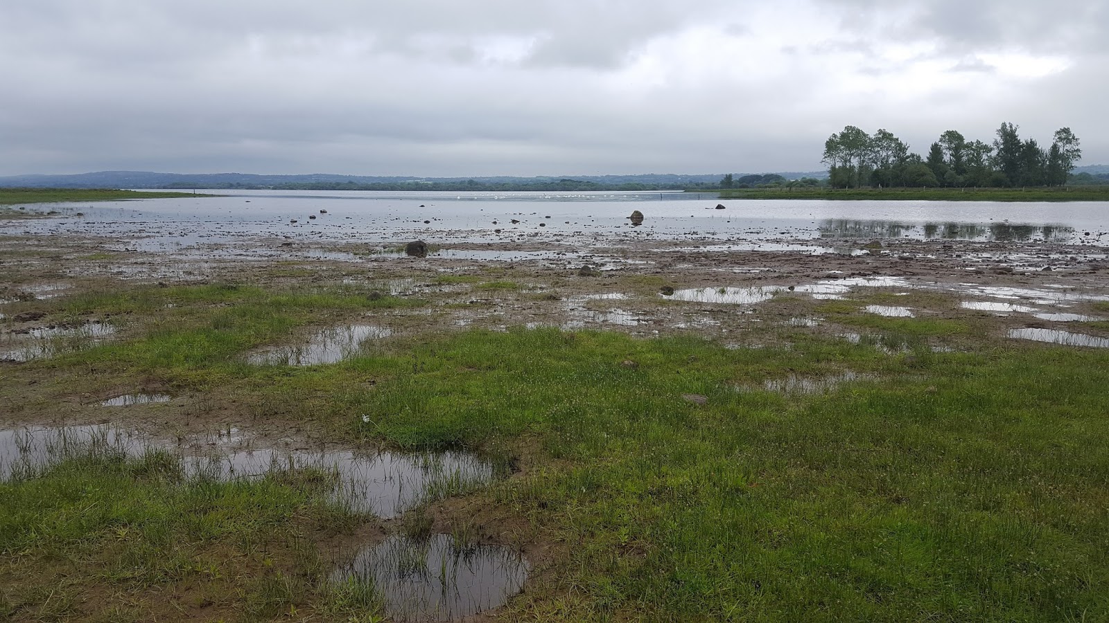A Field Notebook: Lough Beg, Church Island to Paddy's Dubh
