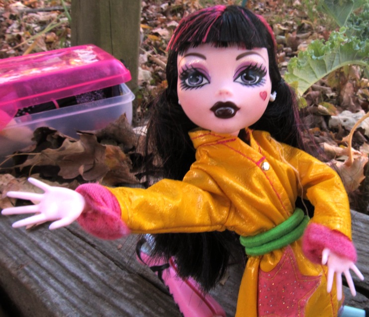 The Real Life Of Monster High