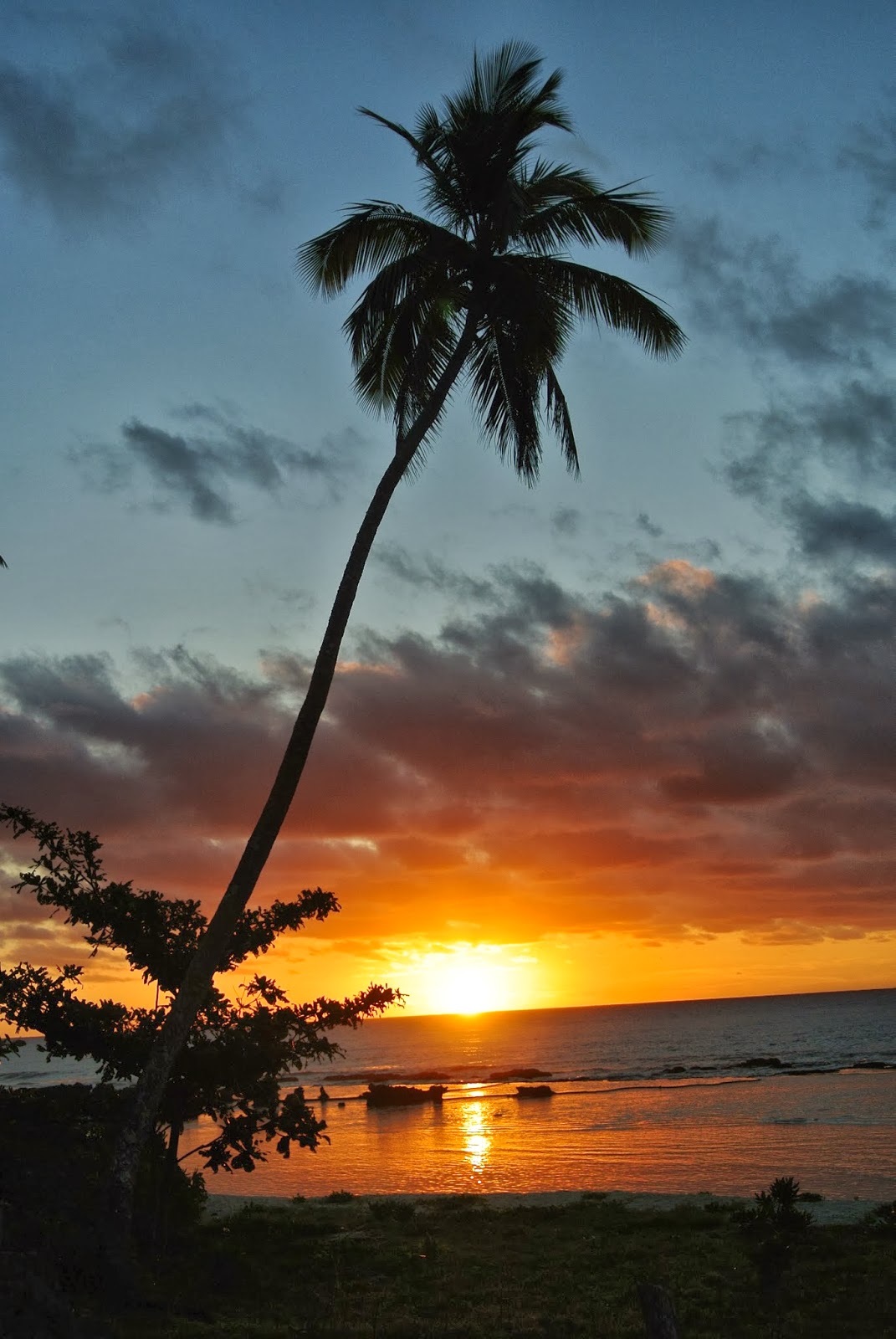 Search, Ponder & the Pacific: The Friendly Islands of Tonga