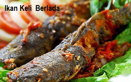 Anim Agro Technology: IKAN KELI DAN USAHAWAN BENIH KELI