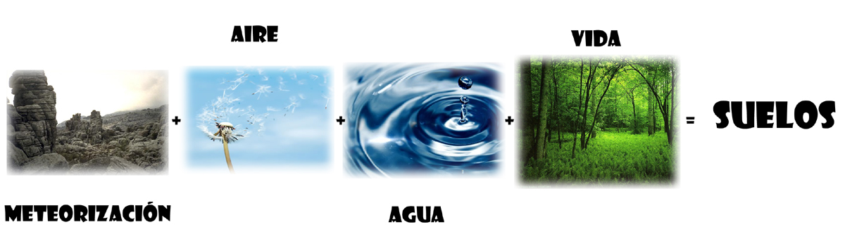 Estudiamos los paisajes: 4. El suelo. ¿Cómo se forman los suelos?