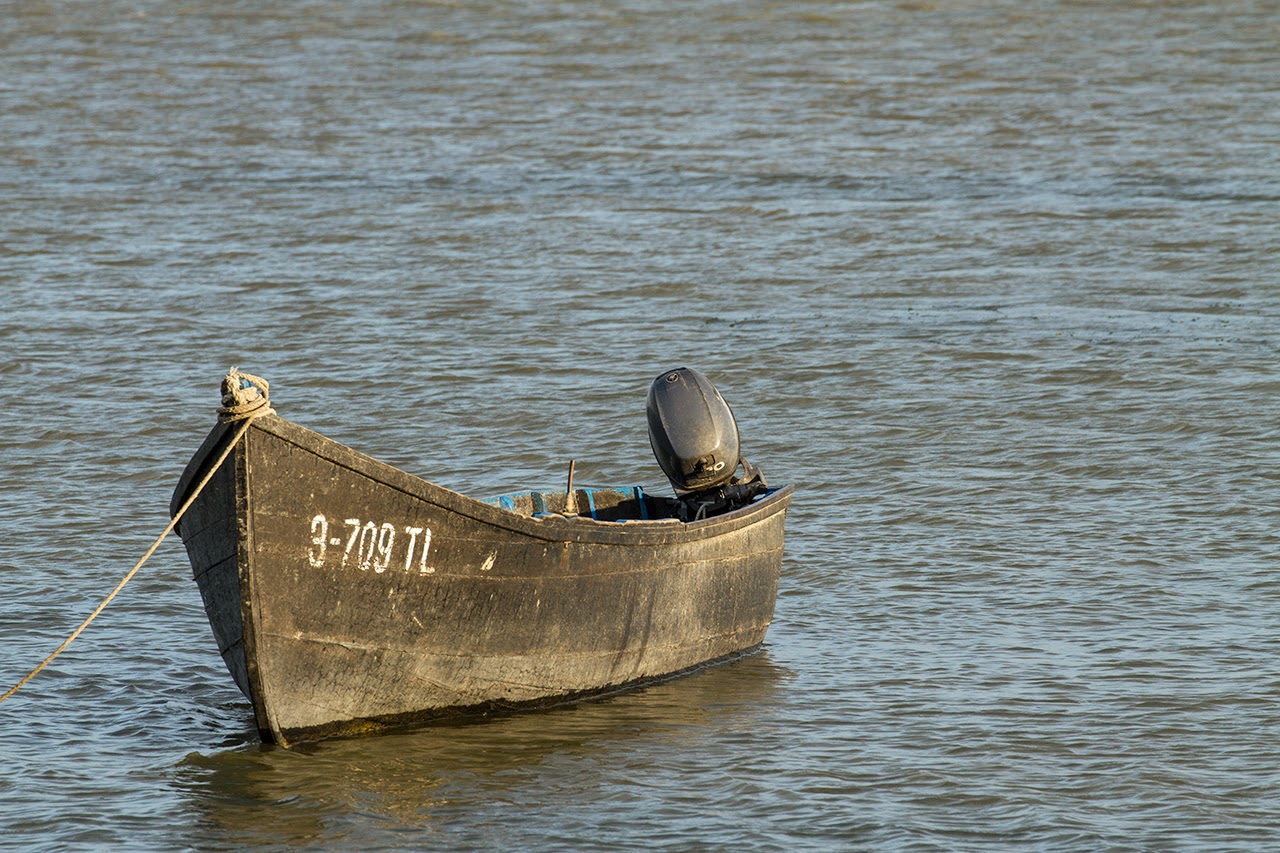Dan Tiganila: Lacul Razim (Razelm)