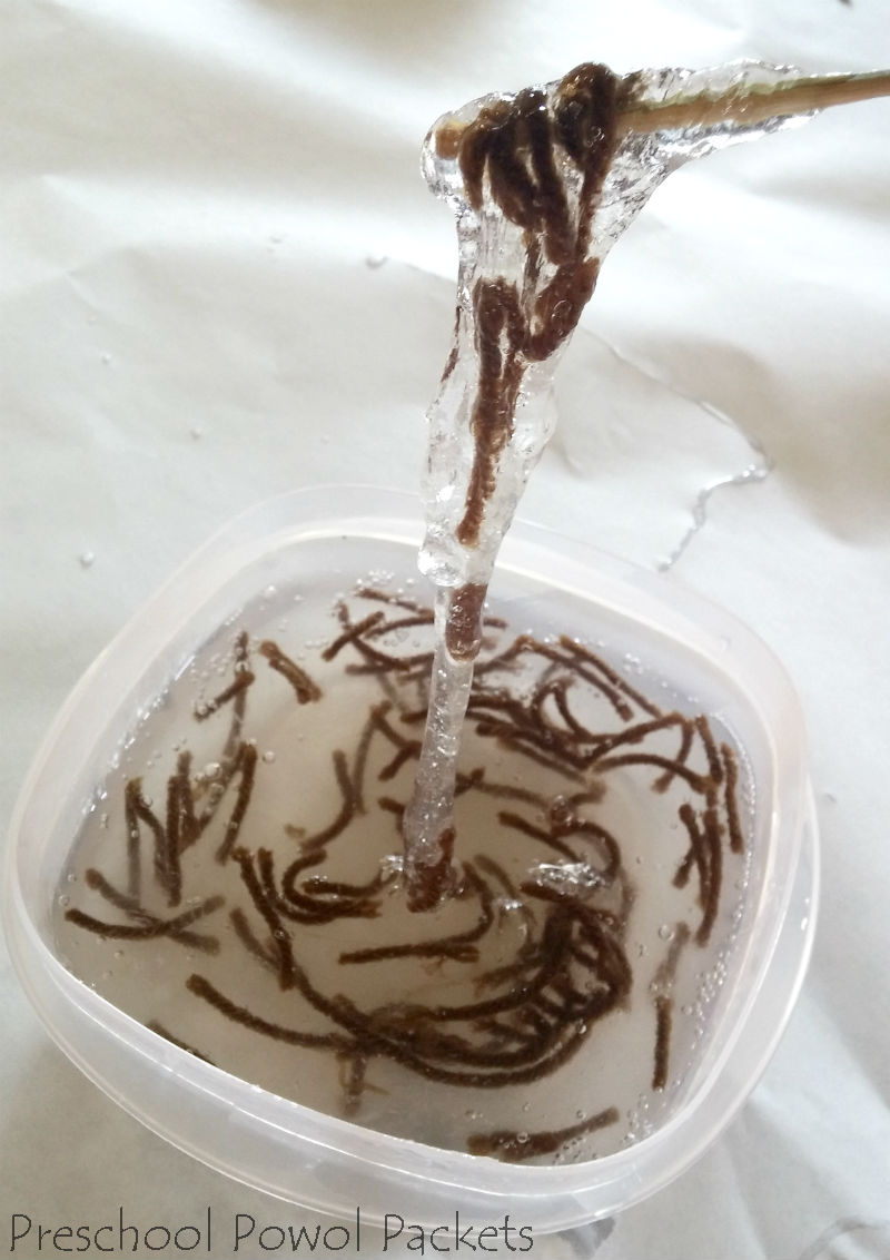 Brown Bear Slime Preschool Science Experiment | Preschool Powol Packets