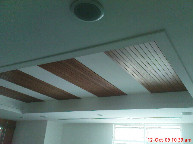 woods N curves: plaster ceiling