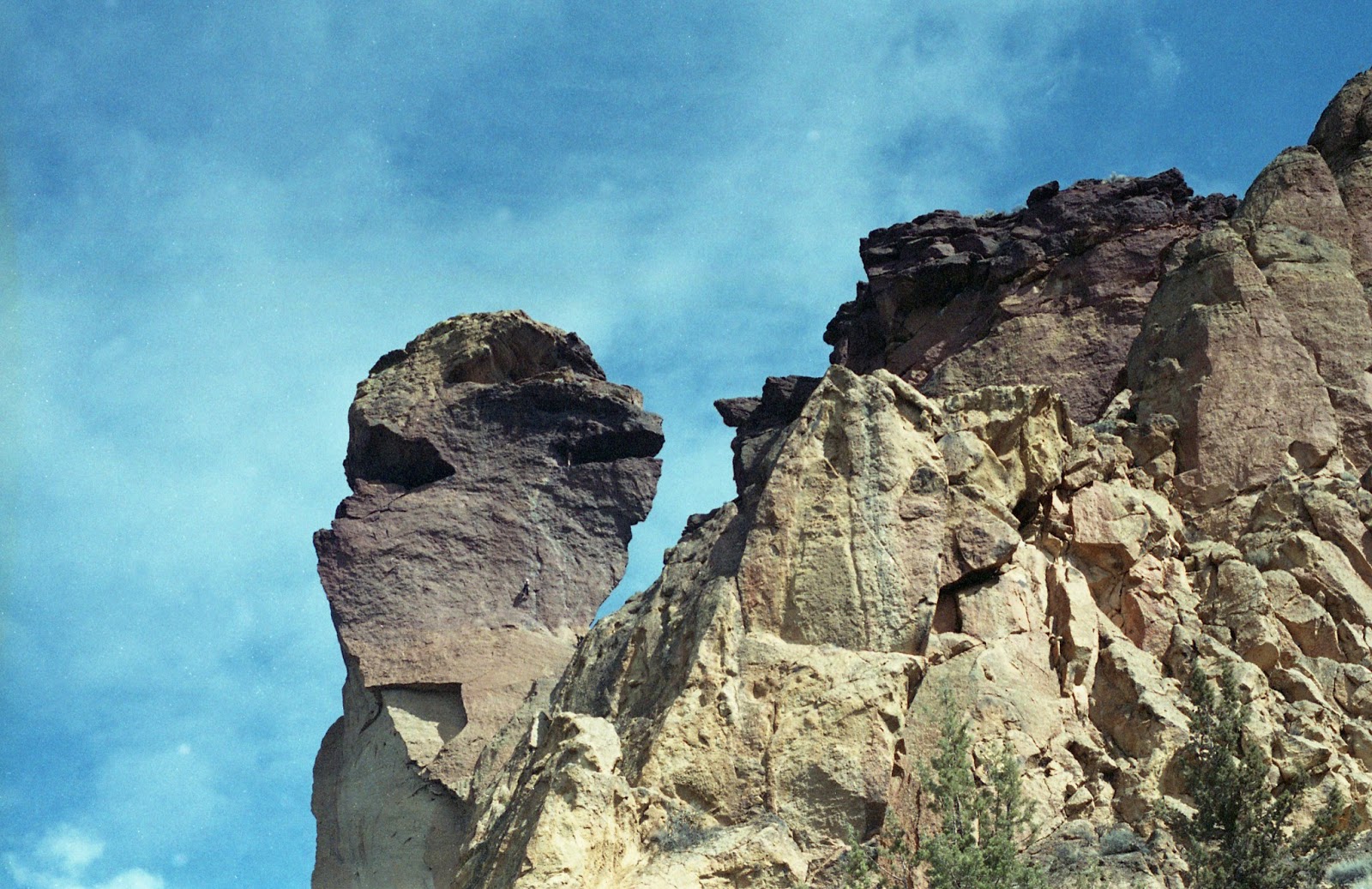 McKenna Jones Photography