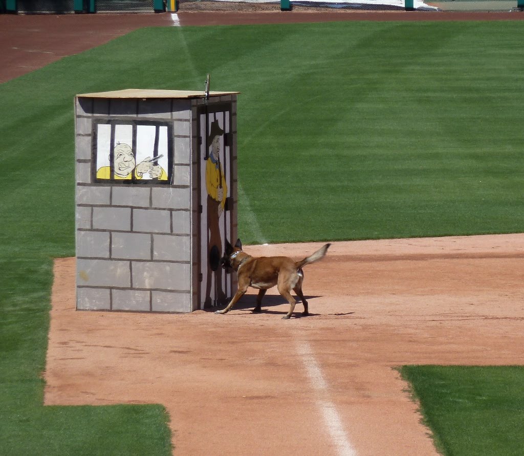 Hundewanderer.com: 2011 Desert Dog Police K-9 Trials