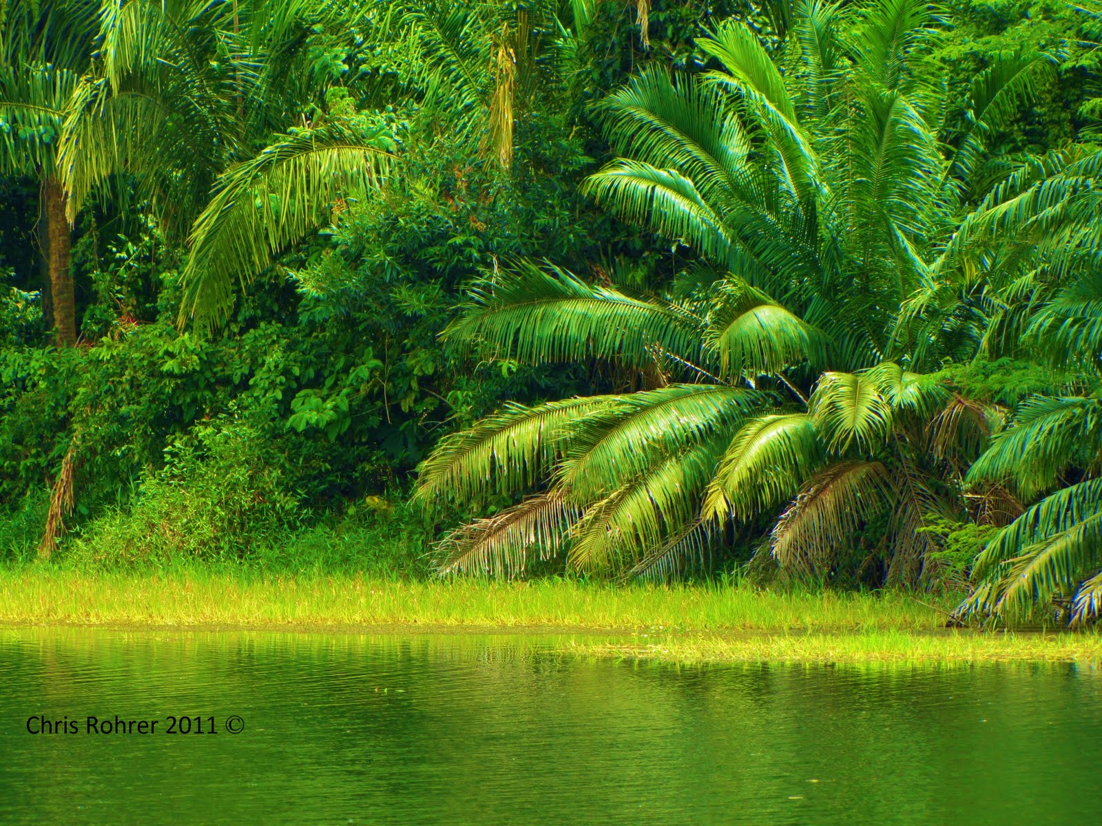 Las Aventuras: Panama Rainforest Discovery Center