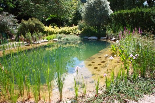 Ecological Pools: Natural Swimming Ponds Home | Garden Park