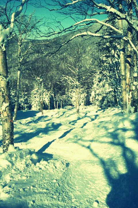 The Official Blog of Prime Grime Clothing